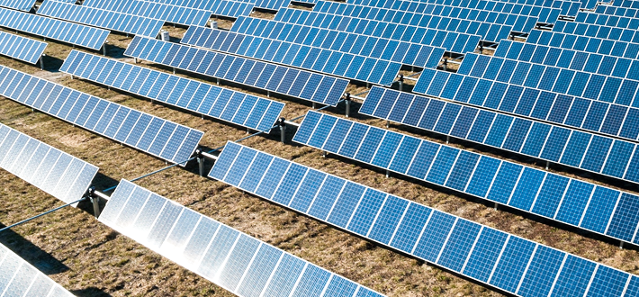 Tomato Energy Co.,Limited